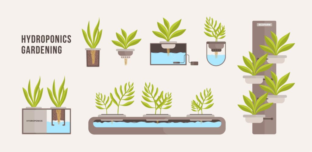 Hydroponic Gardening | Sprinkler School