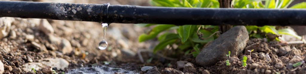 Drip Repair Blogs: Fix Your Irrigation System | Sprinkler School