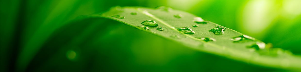 Top 5 Water Conservation Tips For Cycle And Soak Water | Sprinkler School
