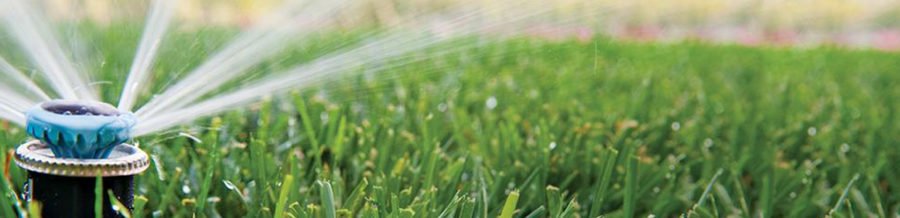 Sprinkler Spray & Rotors | Sprinkler School
