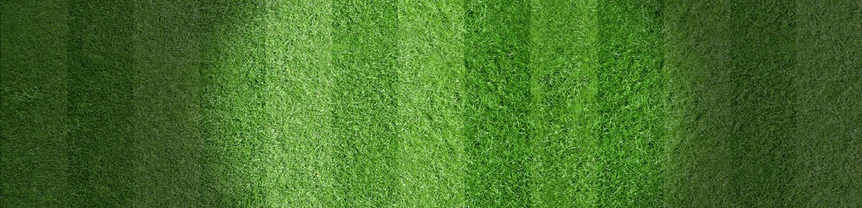 Water Conservation Tips For Your Turf | Sprinkler School