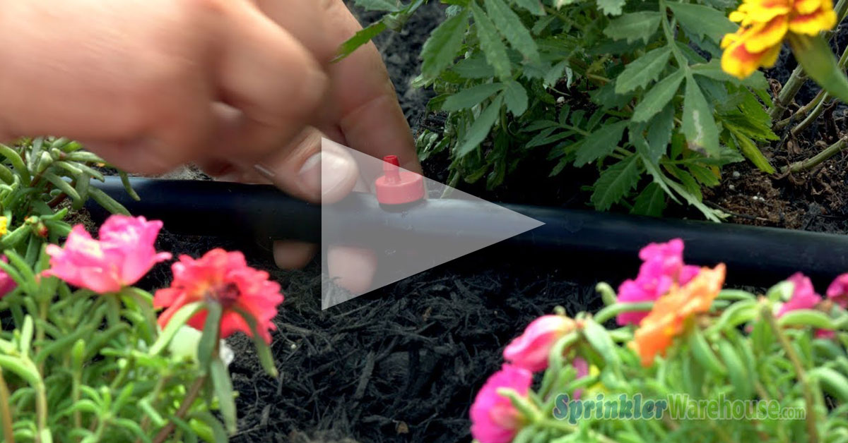 Button Drip Emitters | Sprinkler School