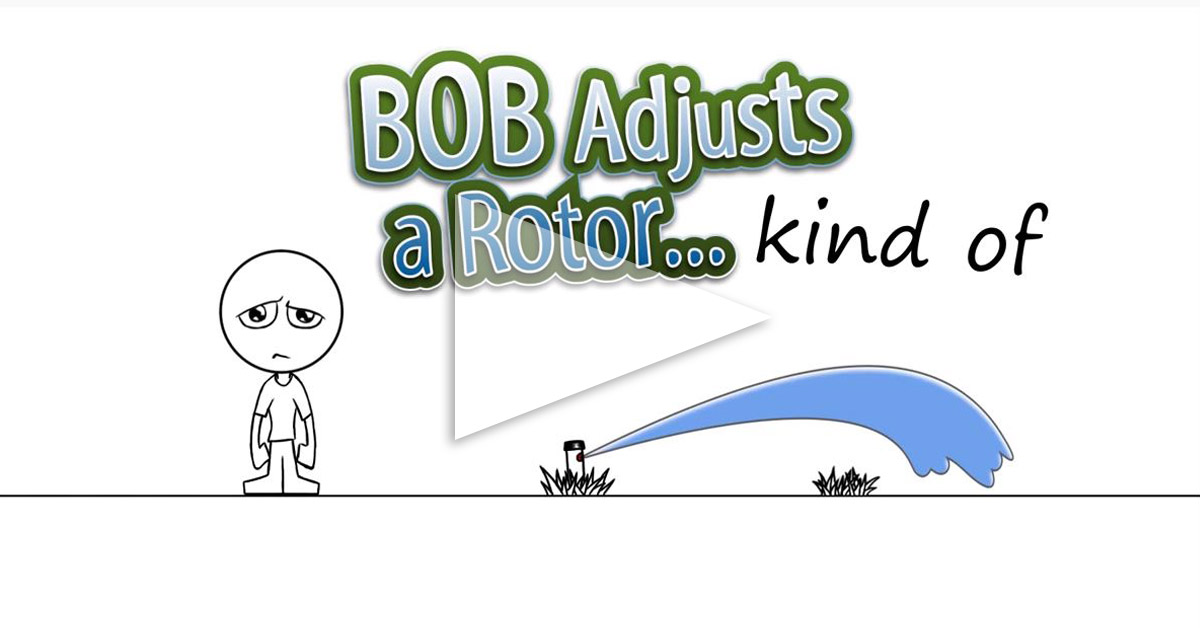 Double Check Valve Assembly (DCVA) | Sprinkler School