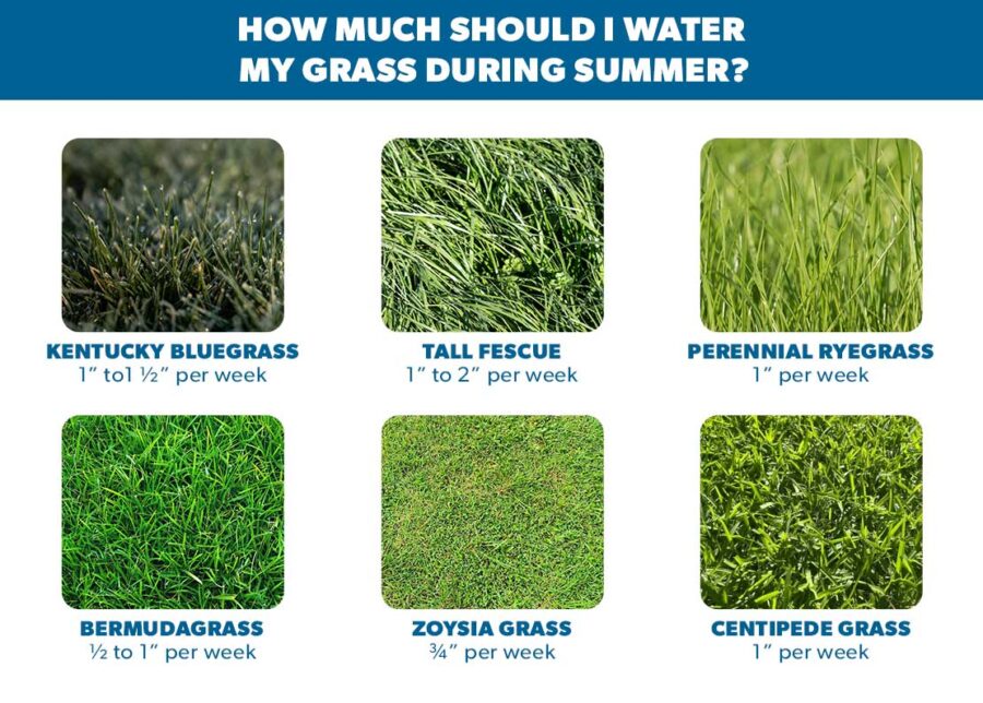 Best Watering Schedules By Grass Type | Sprinkler Warehouse
