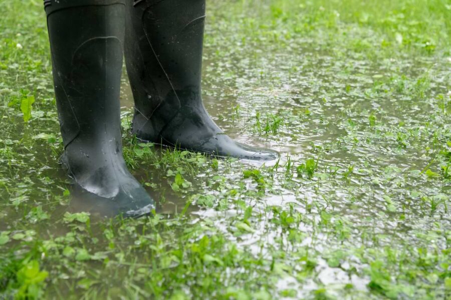 How To Fix Standing Water In Yard | Sprinkler Warehouse