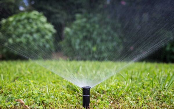 How To Repair Sprinkler Head Not Spraying | Sprinkler Warehouse